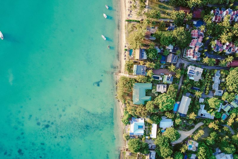Living Seawalls: Greening the Manmade Seascape | SVC Civil