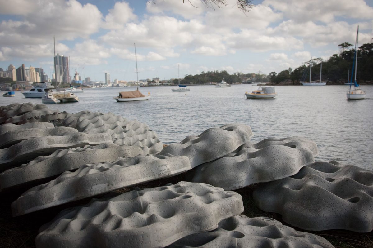 Green Seawalls in Sydney Harbour | Concrete seawall modules | SVC Civil